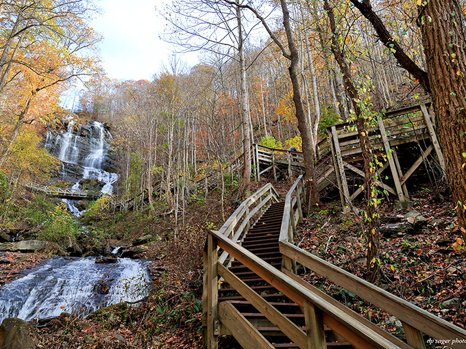 Nature's own water feature doesn't come with an off switch. Amicalola's 729-foot cascade commands attention year-round, making Instagram filters completely unnecessary.