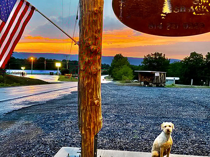 Blue skies and barbecue dreams &ndash; this unassuming wooden shack in Hesston might not look like much, but your nose will tell you otherwise.