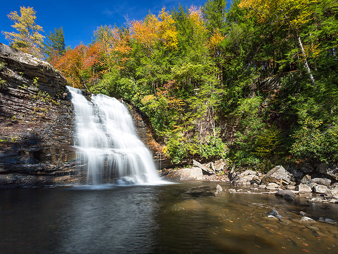 Nature's perfect cascade moment &ndash; Muddy Creek Falls delivers a 53-foot spectacle that makes you wonder why anyone bothers with screensavers anymore.