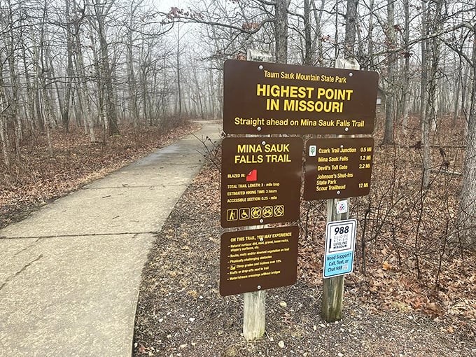 The winding path whispers promises of adventure ahead. Nature's welcome mat stretches through a sunlight-dappled forest that feels worlds away from everyday life. 
