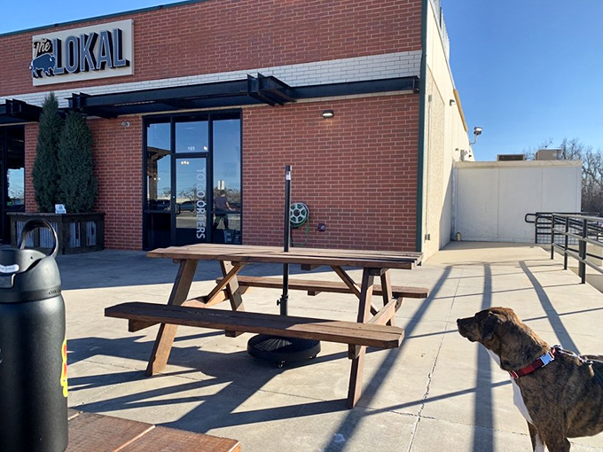 The unassuming brick exterior of The Lokal belies the culinary treasures within. Those two cypress trees stand like sentinels guarding Oklahoma's best-kept secret.