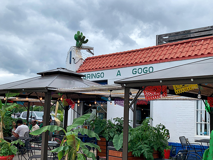 The terra cotta roof and bright blue accents welcome you like an old friend. Gringo A Go Go's patio beckons with the promise of good times and better tacos. 
