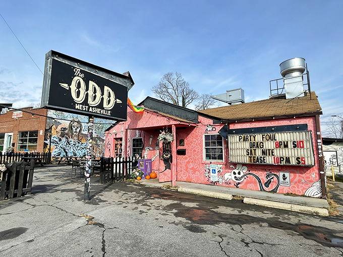 The pink exterior of The Odd delivers your first hint: conventional dining took a detour and landed somewhere gloriously weird in West Asheville.