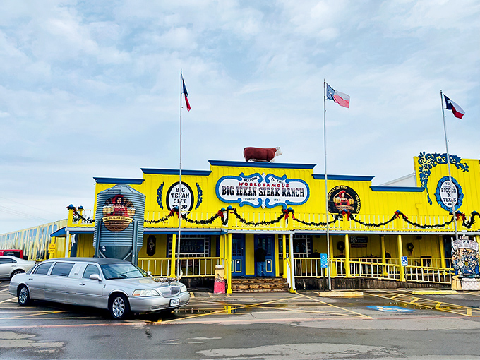 The bright yellow facade of The Big Texan stands like a neon beacon in the Texas Panhandle, complete with a cow statue that's dressed better than most tourists.