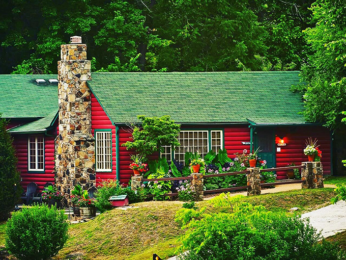 The red log cabin exterior with lush tropical plants says "frontier meets fine dining" before you even step inside.