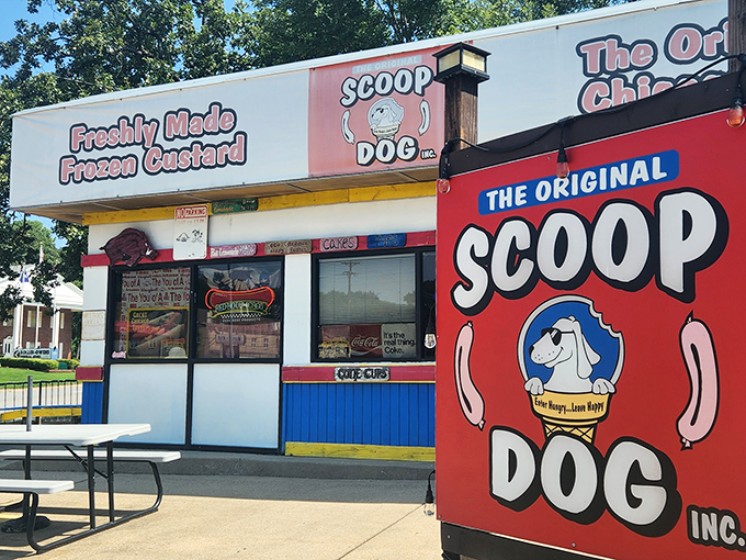 The blue and white facade of ScoopDog stands like a colorful time capsule, promising nostalgic flavors that transport you back to simpler times.