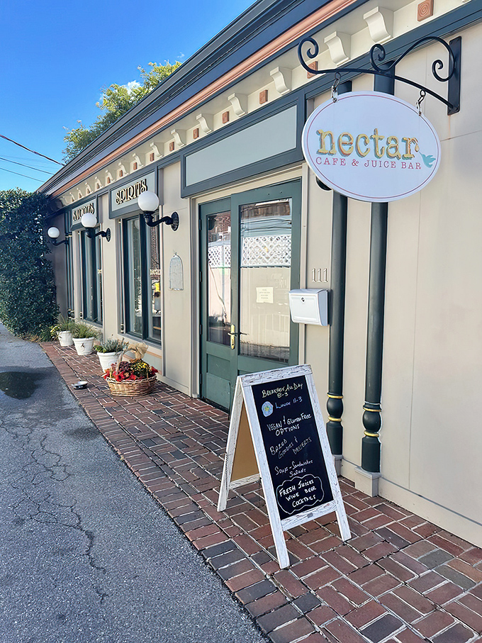 The unassuming storefront of Nectar Cafe & Juice Bar beckons like a culinary lighthouse on Lewes' shore, promising delicious refuge from ordinary dining experiences.