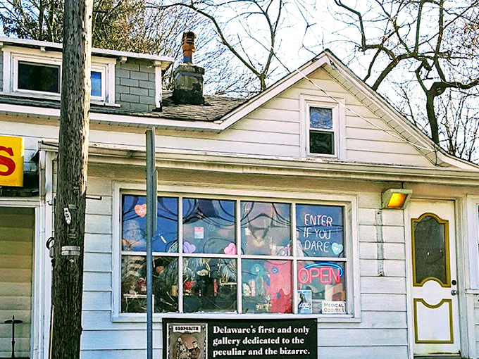 The unassuming exterior belies what waits inside &ndash; like finding Narnia in a closet, but with more taxidermy and fewer talking lions.