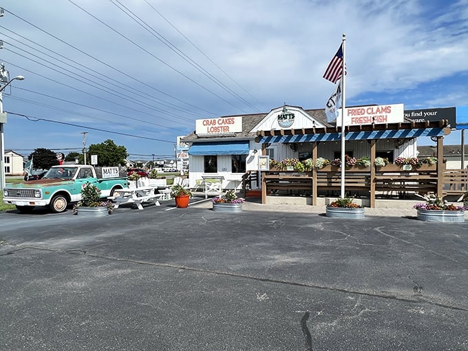 The classic white clapboard exterior with bold signage promising "FRIED CLAMS" and "FRESH FISH" is like a siren song to seafood lovers cruising coastal Delaware.