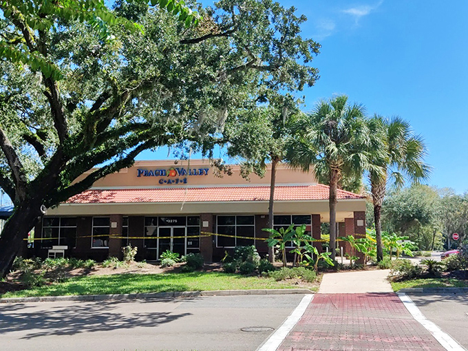 Sunshine, palm trees, and the promise of breakfast paradise &ndash; Peach Valley Cafe's exterior invites you in like a warm Florida morning.