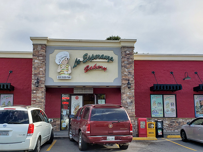 La Esperanza's vibrant pink exterior isn't just a building&mdash;it's a promise of the colorful flavors waiting inside this Dalton treasure.