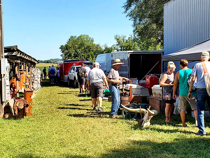 Treasure hunters navigate the grassy pathways between vendor stalls, where yesterday's castoffs await their second chance at usefulness and beauty.