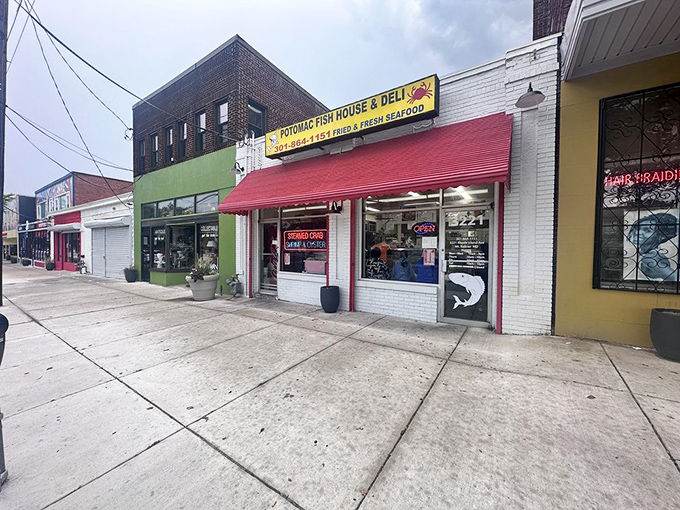 The bright yellow sign beckons seafood lovers like a lighthouse guiding hungry sailors to shore. No fancy frills, just the promise of fried perfection.