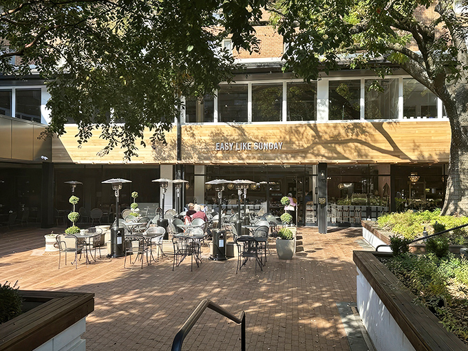 The warm wooden fa&ccedil;ade of Easy Like Sunday beckons like a culinary lighthouse, promising brunch salvation to hungry Baltimore souls.