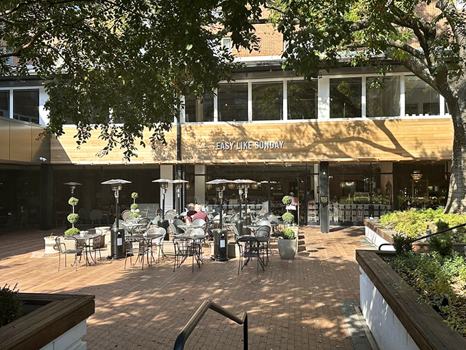 The golden wooden facade of Easy Like Sunday beckons like a sunrise, promising brunch dreams. Baltimore's answer to European cafe culture.