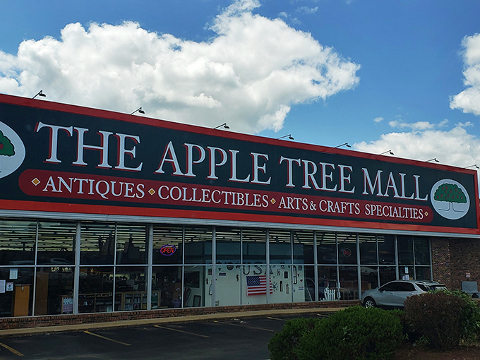 The iconic red and green sign of The Apple Tree Mall beckons treasure hunters, promising a wonderland of collectibles just waiting to be discovered.
