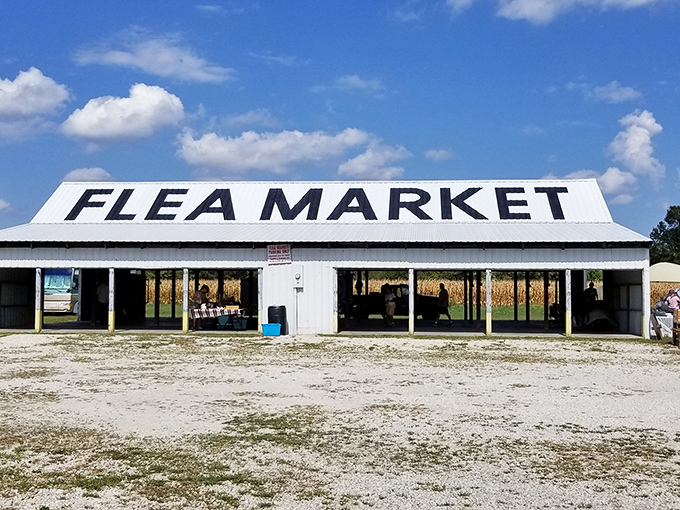 The treasure hunt begins! Rows of covered vendor stalls stretch into the distance at Great American Flea Market, where one person's castoffs become another's discoveries.