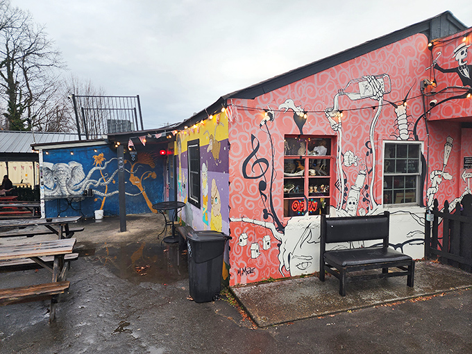 The pink exterior of The Odd delivers your first hint: conventional dining took a detour and landed somewhere gloriously weird in West Asheville.