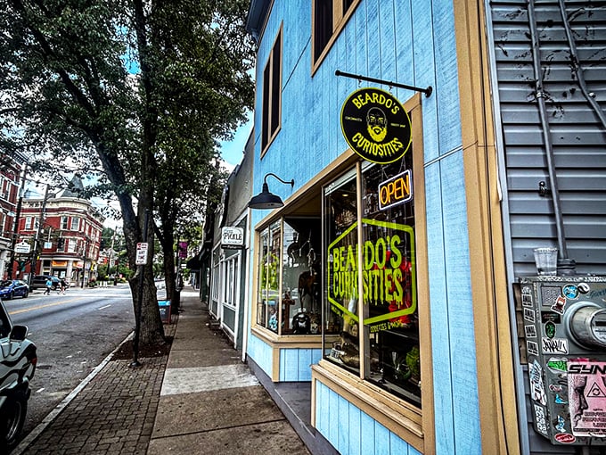 The turquoise facade of Beardo's Curiosities stands out like a beacon for the wonderfully weird, inviting the curious to step into Cincinnati's cabinet of oddities.
