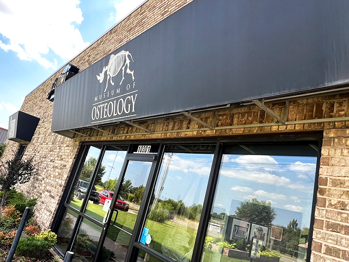 The unassuming brick exterior of Oklahoma City's Museum of Osteology gives no hint of the 300+ skeletons waiting inside. Like finding a diamond mine behind a convenience store.