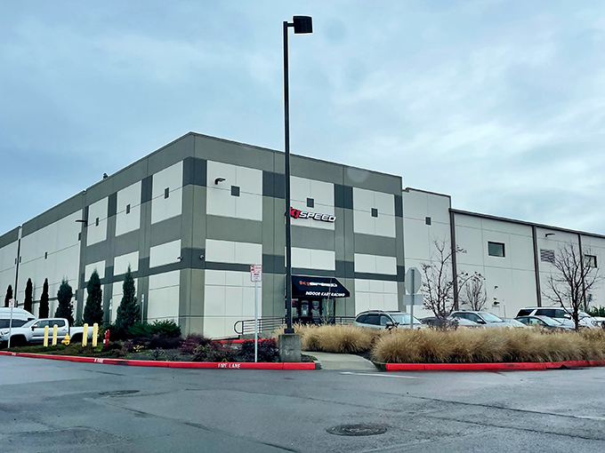 The starting grid awaits your inner speed demon. These sleek electric karts don't just look fast&mdash;they'll pin you back in your seat faster than you can say "checkered flag." 