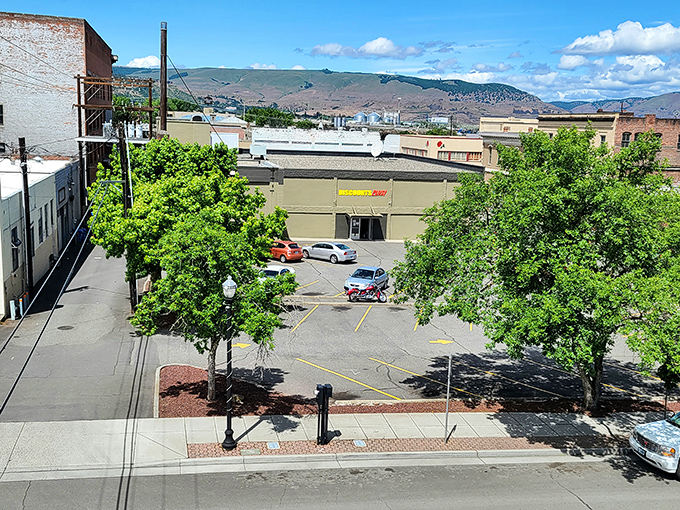 The bright yellow and red Discounts Plus sign beckons like a lighthouse for bargain hunters navigating the sea of retail prices.
