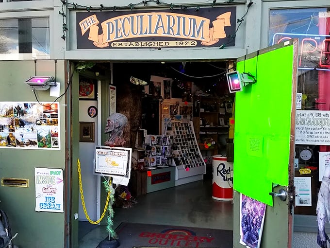 The lime green door to wonderland beckons from NW Thurman Street. Portland's oddest museum doesn't believe in subtle invitations.