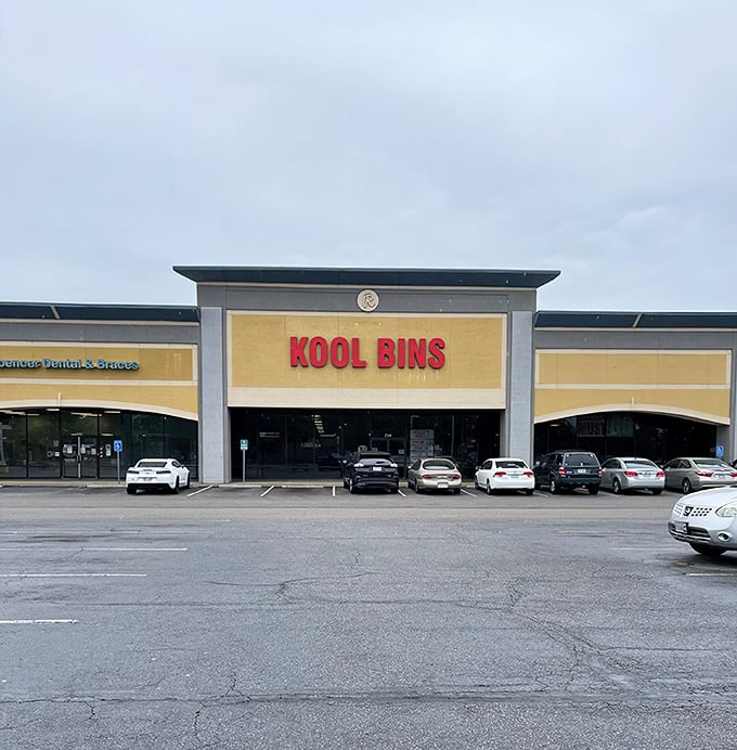 The unassuming storefront of Kool Bins belies the treasure trove within. Like a Vegas casino, what happens inside defies all reasonable expectations.