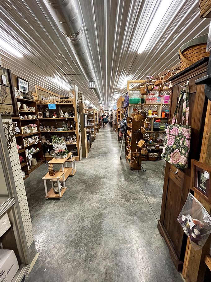 The unassuming exterior of Shenandoah Valley Flea Market hides a treasure trove within, like a poker player with a royal flush keeping a straight face.