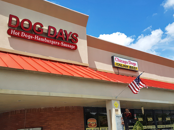 The unassuming storefront belies the culinary magic within. Dog Days sits quietly in a strip mall, like Clark Kent before ducking into a phone booth.
