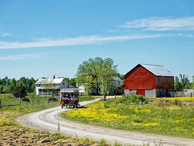 The clip-clop symphony of Amish country &ndash; where horse-drawn buggies and red barns create a living postcard of simpler times.