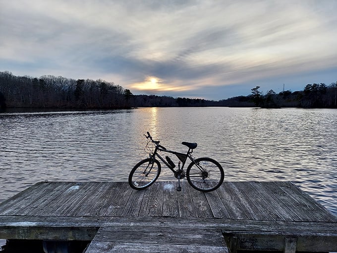 A lone bicycle waits patiently on a weathered dock, as if saying, "Take a moment, will you? This sunset reflection isn't going to appreciate itself."