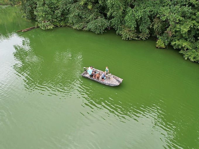 A lone bicycle waits patiently on a weathered dock, as if saying, "Take a moment, will you? This sunset reflection isn't going to appreciate itself."