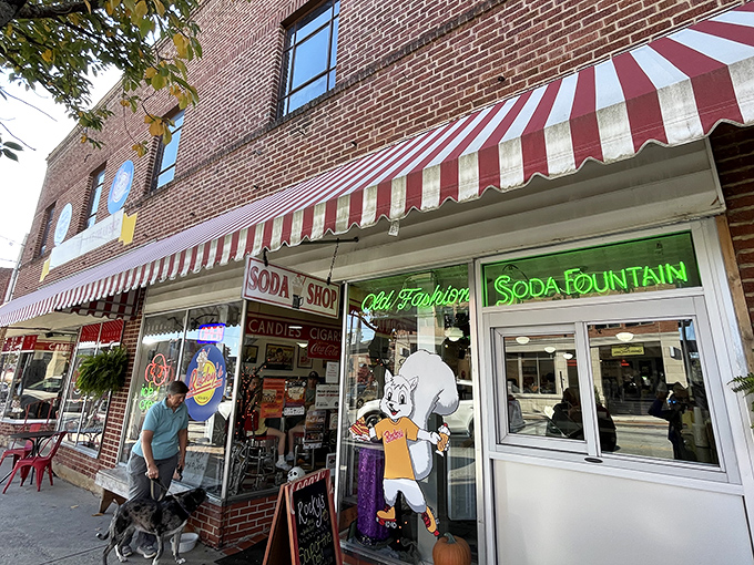 Brevard's crown jewel beckons with its classic red-striped awning and cherry blossom canopy. Time travel never looked so deliciously inviting.