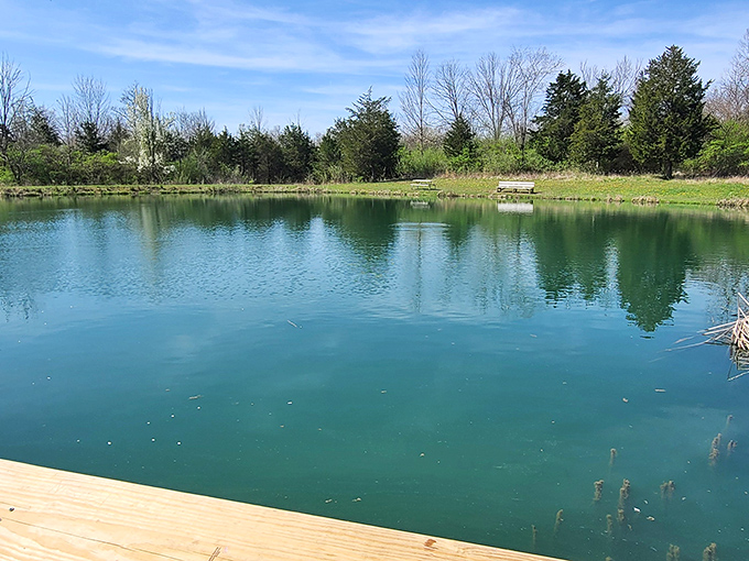 Mirror-like waters invite contemplation at one of Sycamore's serene fishing ponds. Nature's own infinity pool, minus the resort prices.