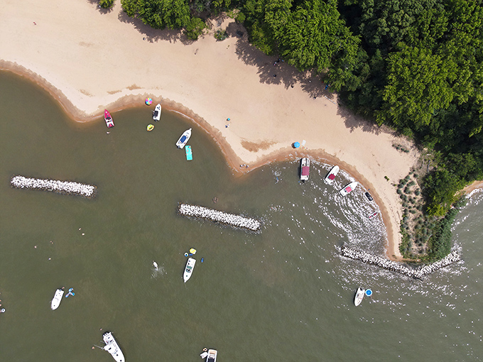 The sandy shores of Hart-Miller Island beckon like a Caribbean getaway, minus the passport requirements and overpriced resort drinks.