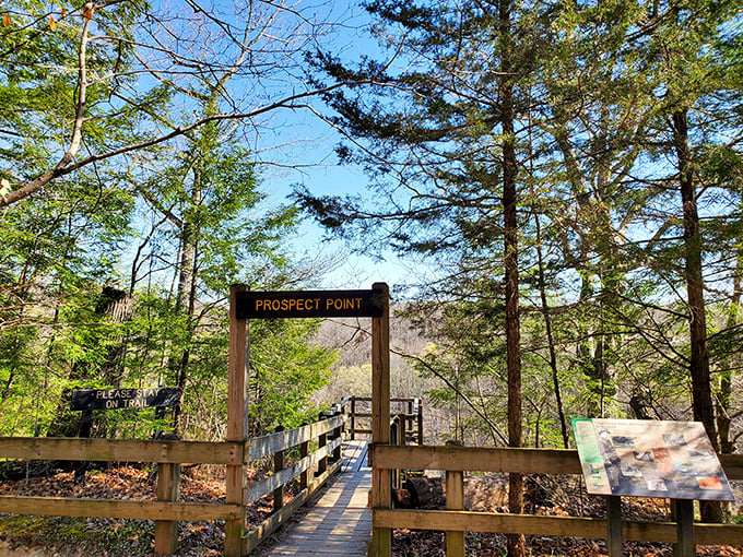 Prospect Point beckons adventure seekers through its wooden gateway, promising views that'll make your Instagram followers think you've left Indiana completely.