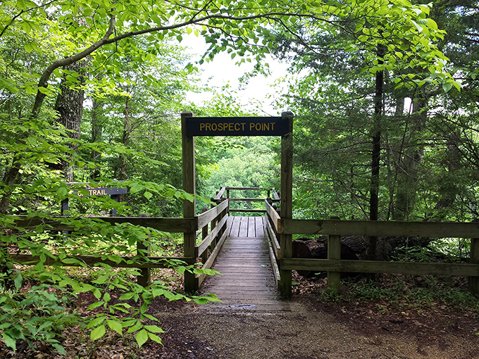 Prospect Point beckons adventure seekers through its wooden gateway, promising views that'll make your Instagram followers think you've left Indiana completely.