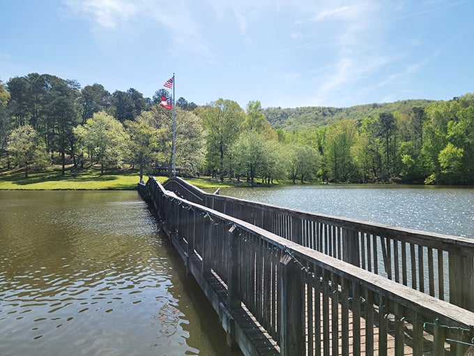 The wooden dock stretches across tranquil waters, inviting adventurers to choose between fishing platforms or colorful kayaks waiting at shore.