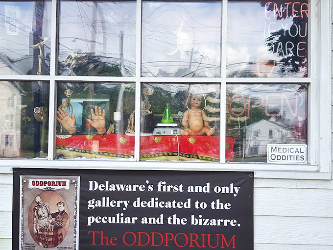 The unassuming exterior belies what waits inside – like finding Narnia in a closet, but with more taxidermy and fewer talking lions.