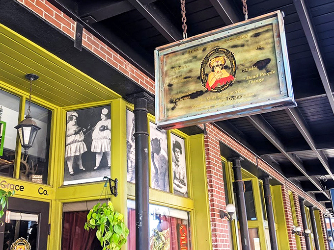 The storefront glows with an otherworldly golden light at dusk, beckoning curious souls into Tampa's most delightfully disturbing retail experience.