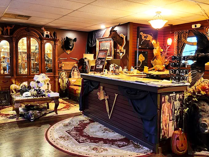 The understated storefront of Valiant Inscript houses Dark and Deviant Oddities, where Asheville's most fascinating collection beckons curious minds from behind elegant gold lettering.