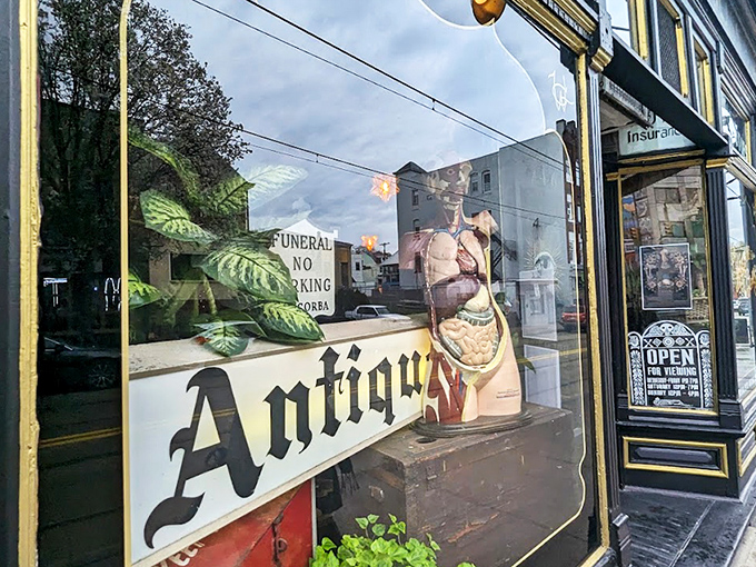 The Weeping Glass beckons curious passersby with gold lettering that promises "ODDITIES" and "CURIOSITIES" – an invitation few can resist.
