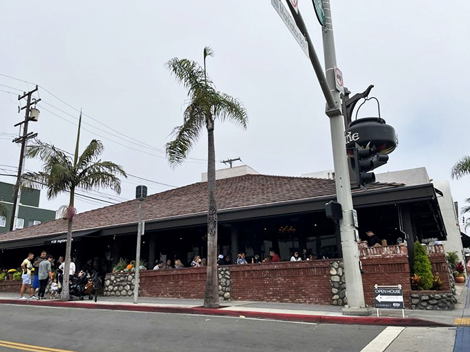 The Kettle's flower-adorned exterior isn't just pretty—it's a promise. Those vibrant blooms welcome you like a colorful handshake before the main event begins.