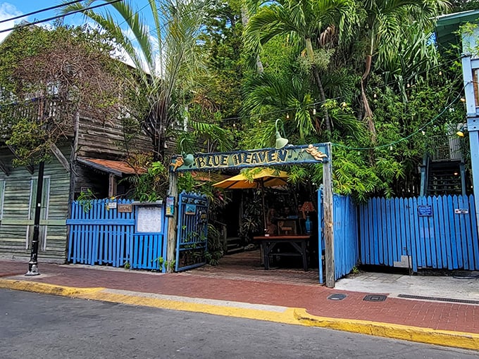 The iconic blue fence and hand-painted sign welcome you to Blue Heaven, where Key West's quirky spirit meets culinary paradise.