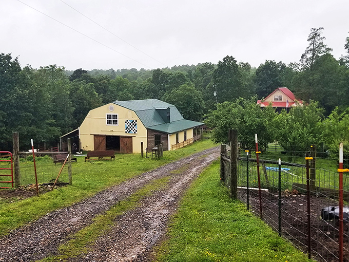 Morning sunlight kisses the farmhouse's metal roof as if Mother Nature herself is saying "Welcome home!" The perfect Ozark Mountain backdrop for your rural escape.