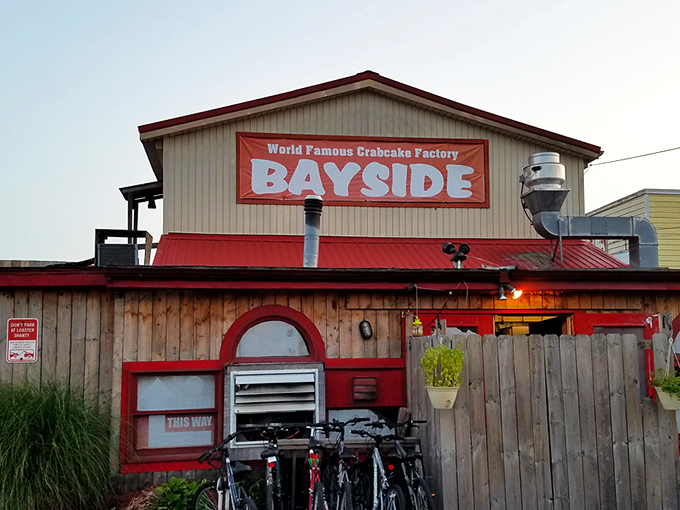 The red roof of CCF Bayside beckons like a lighthouse for the hungry. Rustic wooden exterior with character that says "seafood secrets inside."