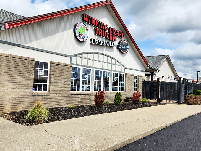 The Winking Lizard's welcoming glow beckons hungry travelers like a lighthouse for the gastronomically adrift. Come for the crab cakes, stay for everything else.