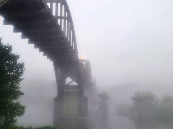 Fog embraces the bridge's grand arches like a Stephen King novel come to life. Perfect backdrop for those "I survived the creepy bridge" selfies.