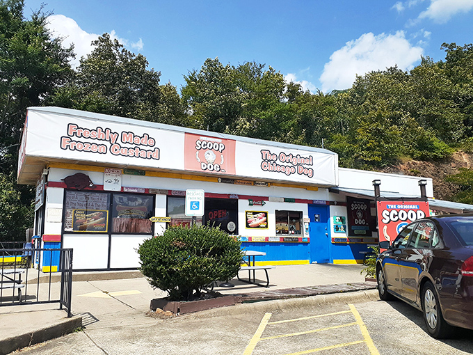 The blue and white facade of ScoopDog stands like a colorful time capsule, promising nostalgic flavors that transport you back to simpler times.